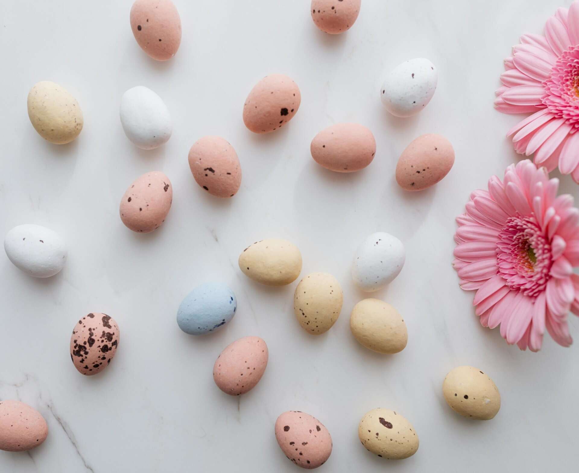 Things to Do in Greater Victoria April 2026 | Events