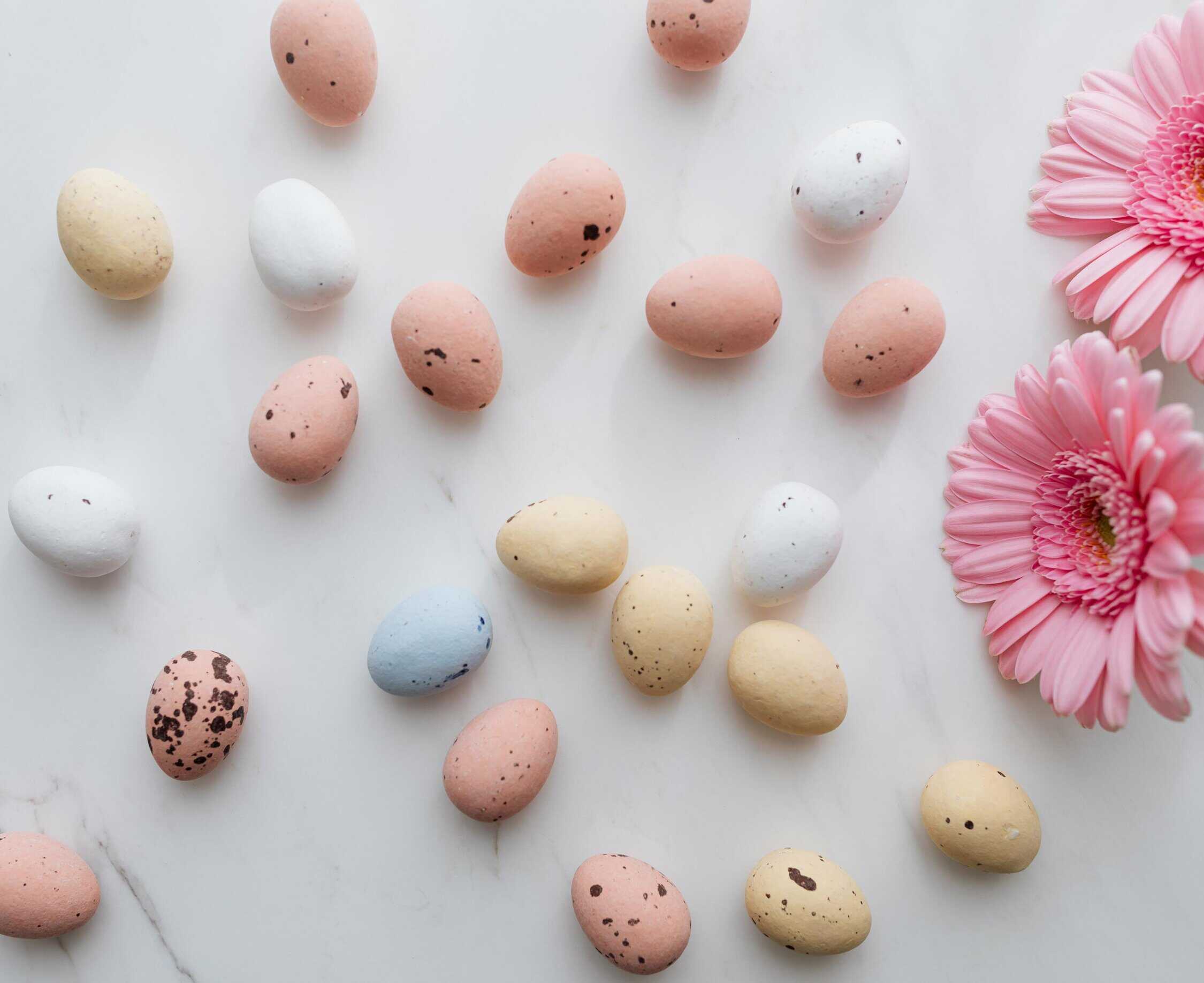 Things to Do in Greater Victoria April 2026 | Events